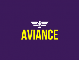 Airline Logo Ideas: Make Your Own Airline Logo - Looka