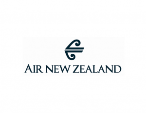 Airline Logo Ideas: Make Your Own Airline Logo - Looka