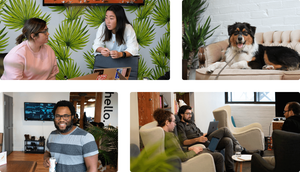 Careers at Looka - Making Design Accessible for Businesses