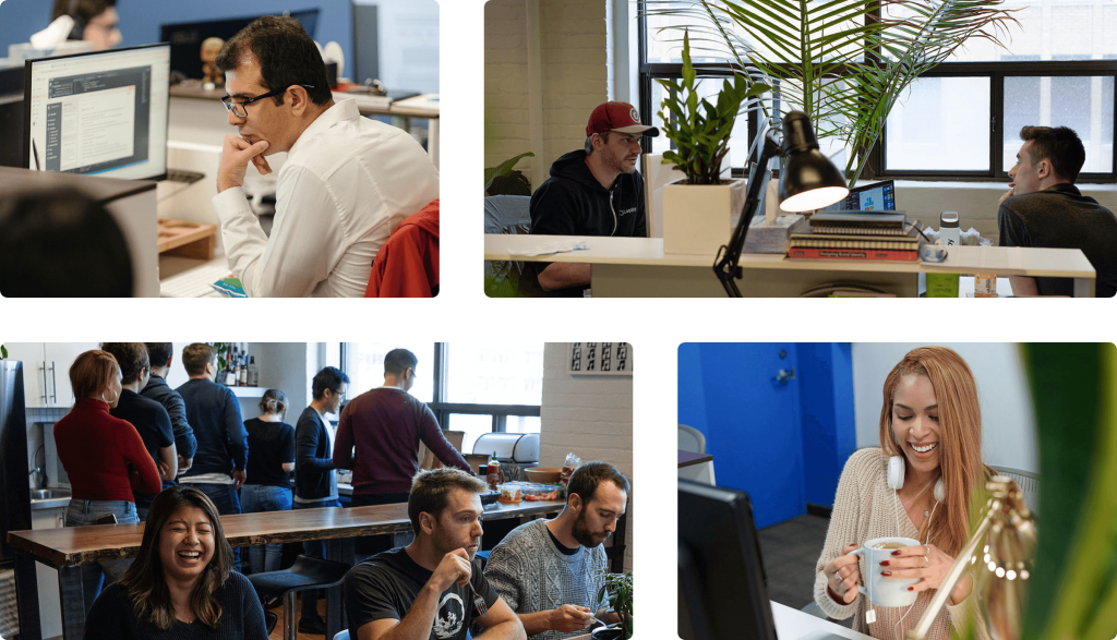 Careers at Looka - Making Design Accessible for Businesses