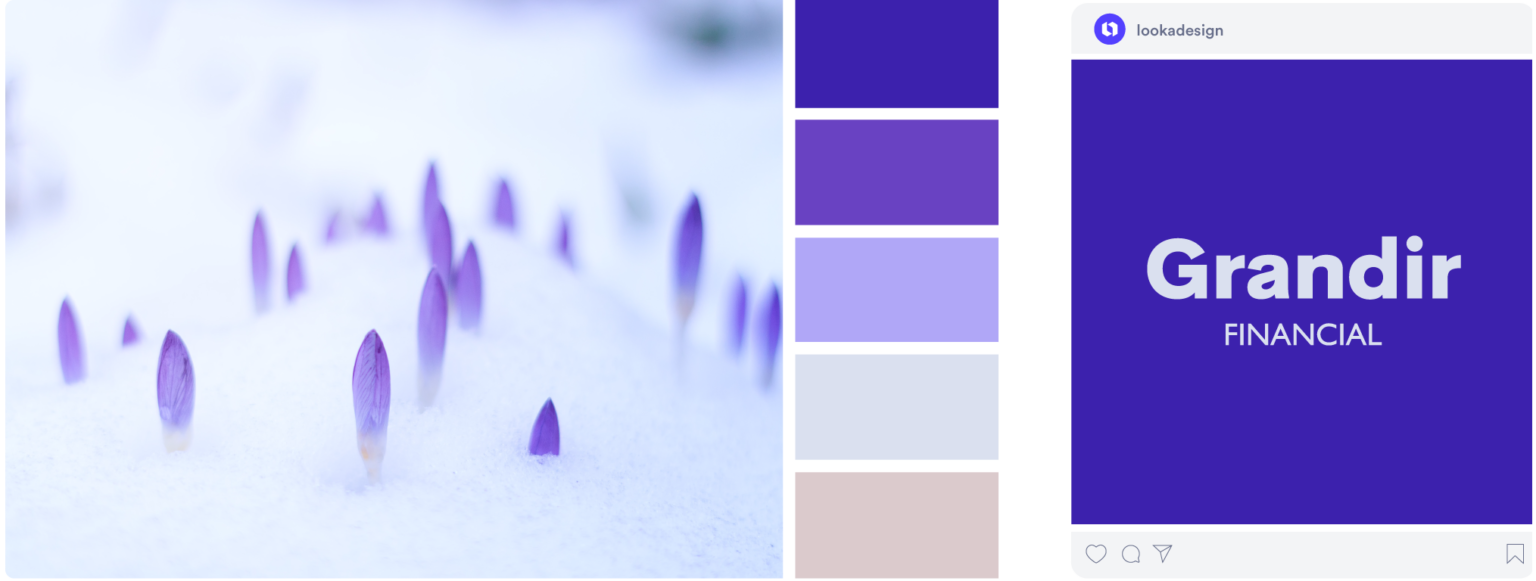 Spring Color Palettes: 20 Fresh Ideas to Inspire Your Designs | Looka