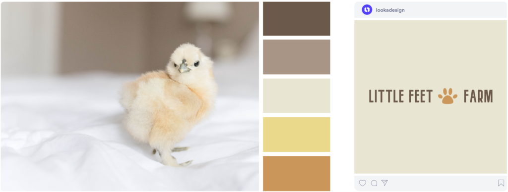 Spring Color Palettes: 20 Fresh Ideas to Inspire Your Designs | Looka