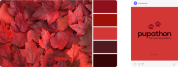 20 Fall Color Palettes for a Warm Fall Aesthetic | Looka