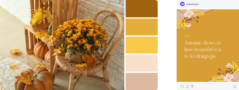 20 Fall Color Palettes for a Warm Fall Aesthetic | Looka
