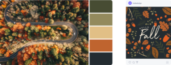 20 Fall Color Palettes for a Warm Fall Aesthetic | Looka