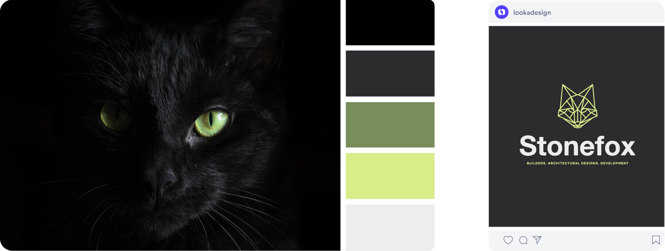 20 Fall Color Palettes for a Warm Fall Aesthetic | Looka