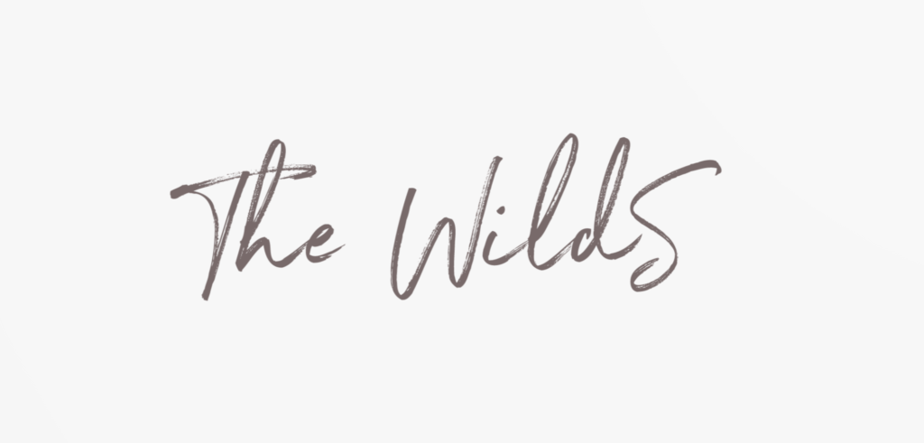 Calligraphy Cursive Font Generator 1 What Font Looks Like Cursive 