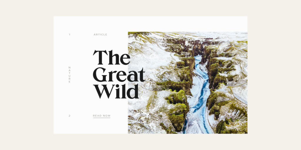 The Creative Store New Zealand | Top 42 Modern Fonts for Trendy Designs ...