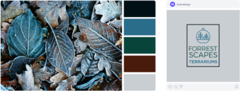 30 Winter and Christmas Color Palettes To Warm You Up | Looka