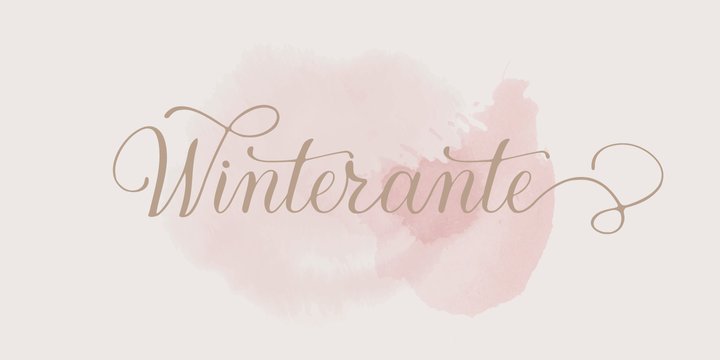 Top 30 Romantic Fonts for Celebrating Love Year-Round | Looka