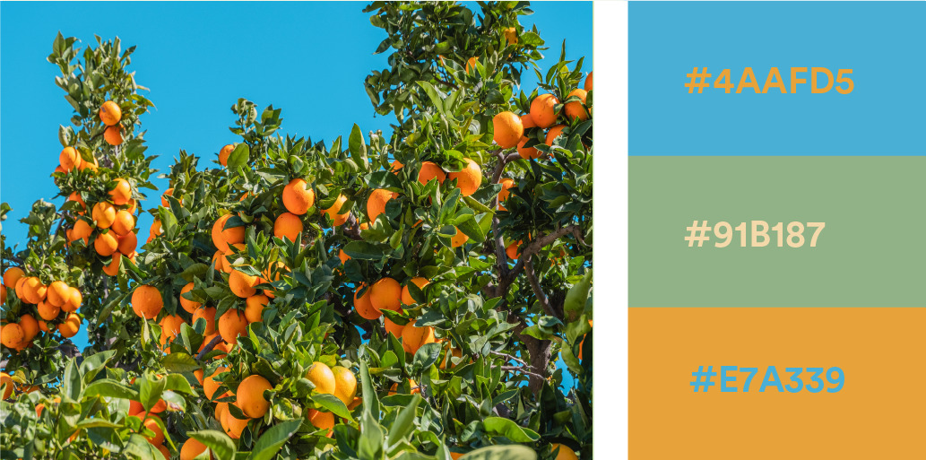 60 Stunning Color Combinations to Elevate Your Next Project in 2025 | Looka