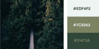 60 Stunning Color Combinations to Elevate Your Next Project in 2025 | Looka