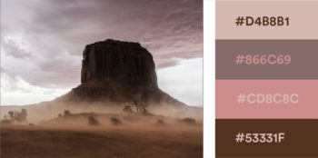 50 Color Combinations You Need to Use | Looka