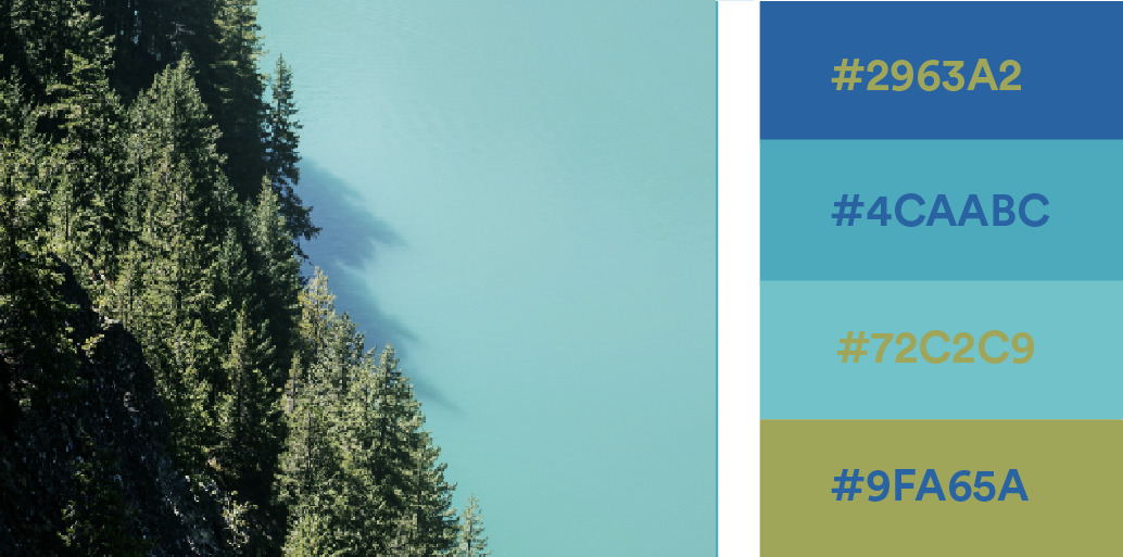 50 Color Combinations You Need to Use | Looka