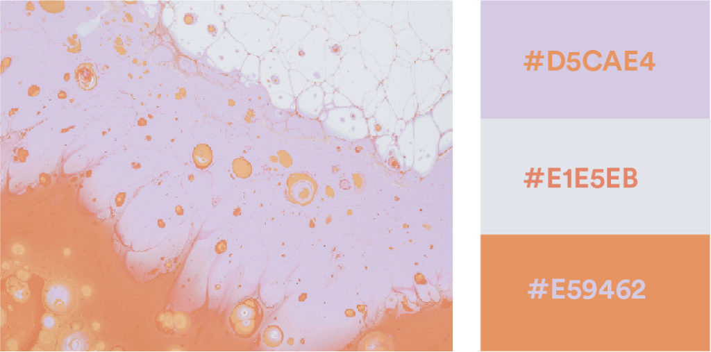 60 Stunning Color Combinations to Elevate Your Next Project in 2025 | Looka