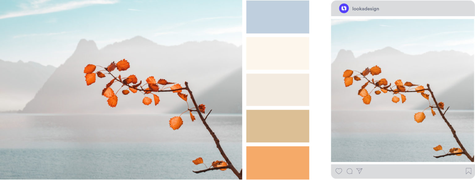 20 Fall Color Palettes for a Warm Fall Aesthetic | Looka