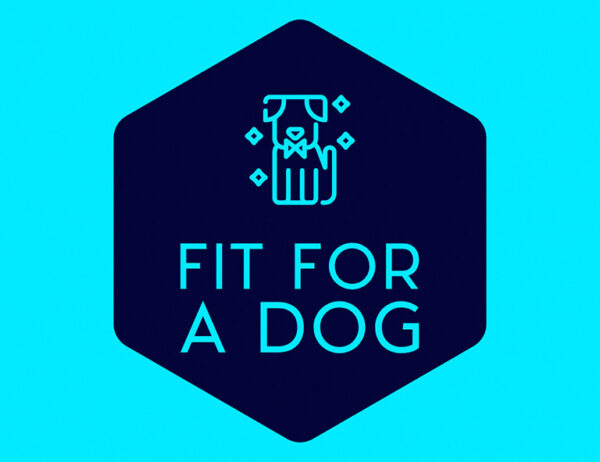 Diamond Logo Ideas: Make Your Own Diamond Logo - Looka