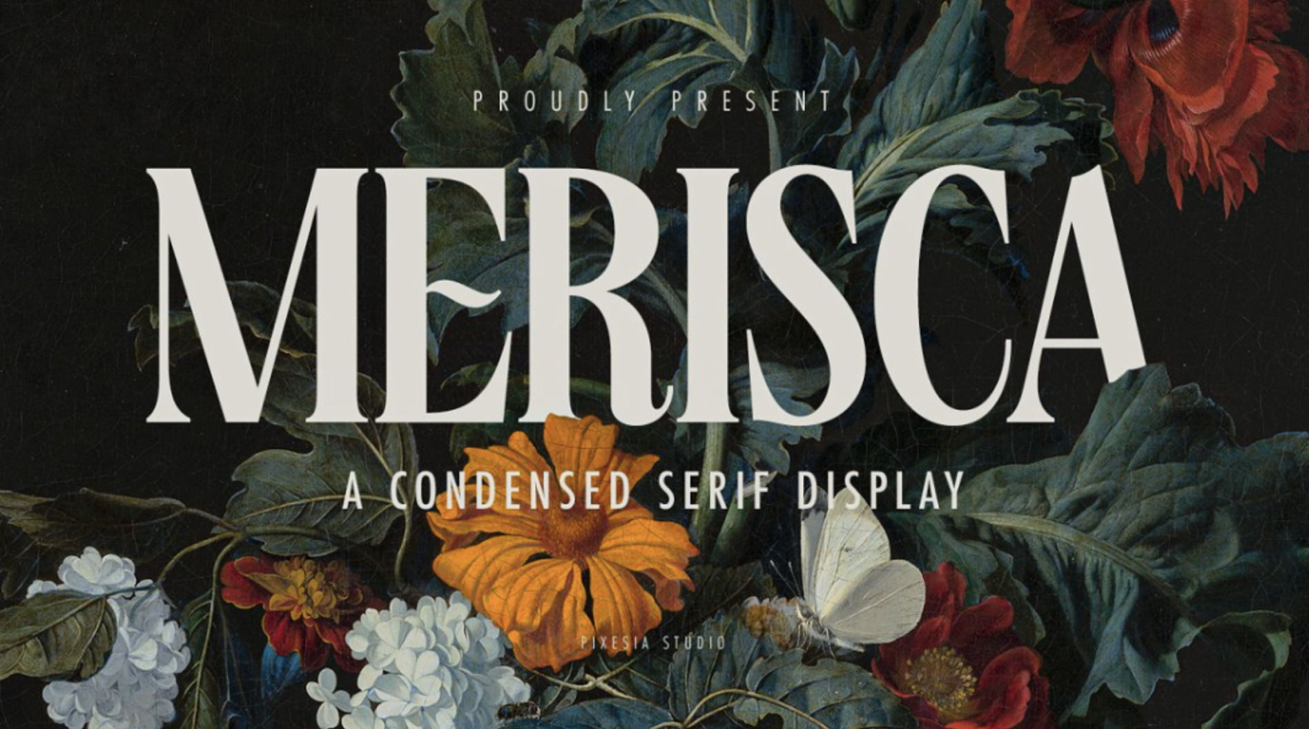 Types of Fonts: The Ultimate Guide to Fonts Styles | Looka