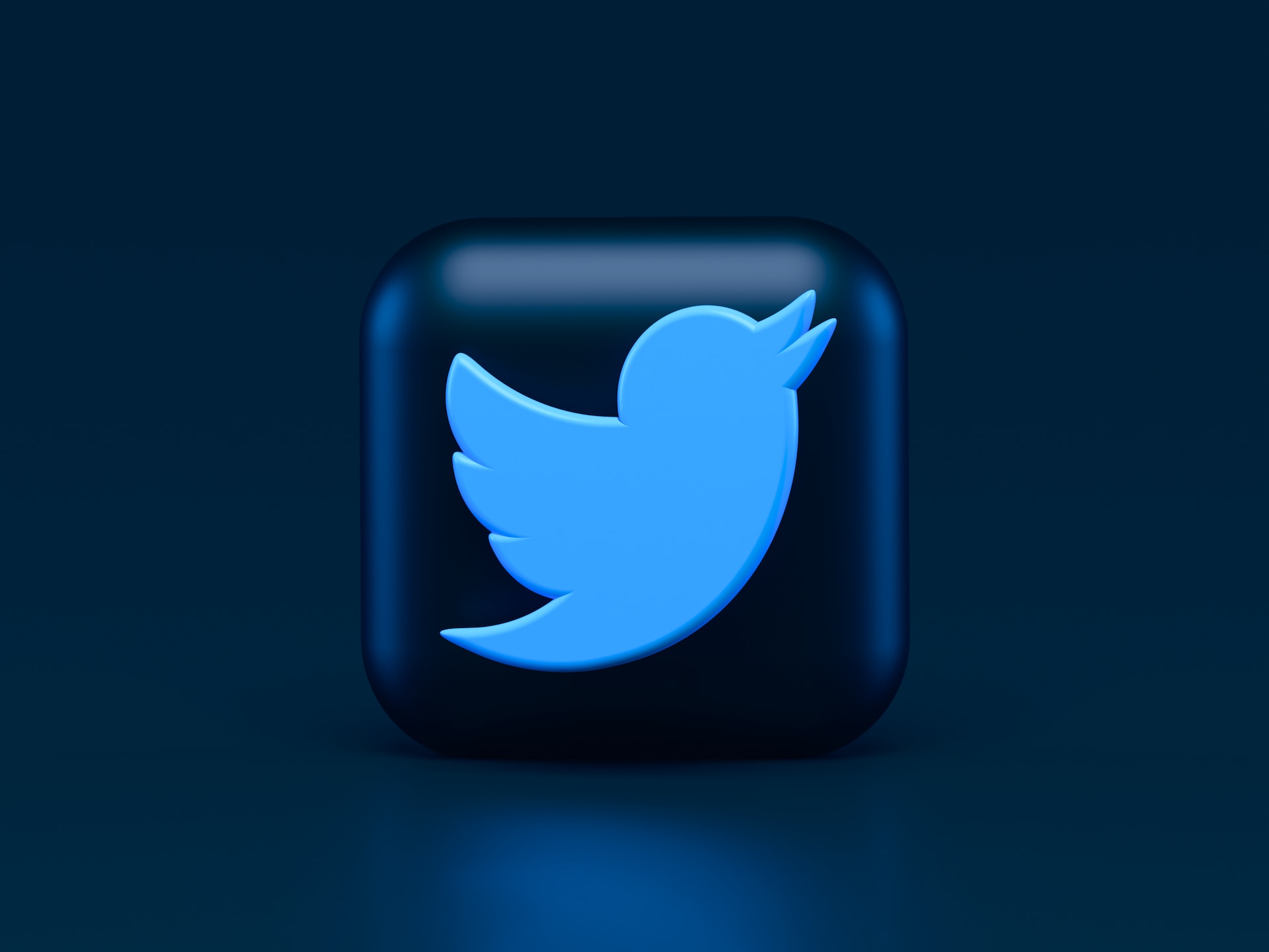Twitter's Shocking Logo Evolution from Bird to X | Looka