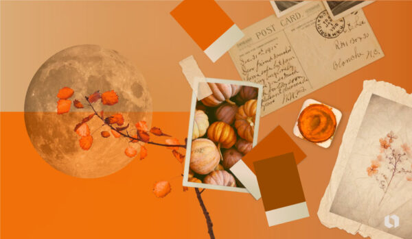 20 Fall Color Palettes for a Warm Fall Aesthetic | Looka