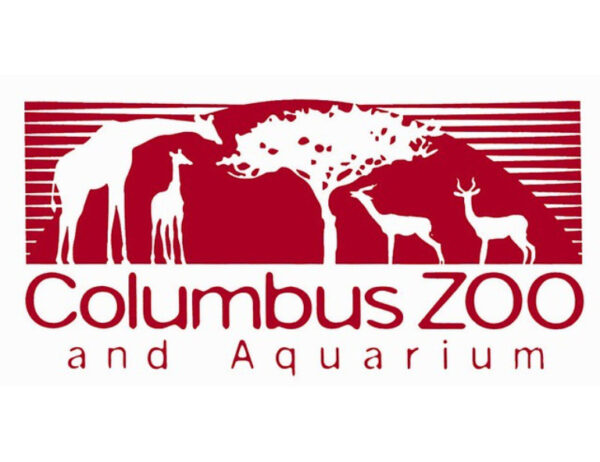 Zoo Logo Ideas: Make Your Own Zoo Logo - Looka