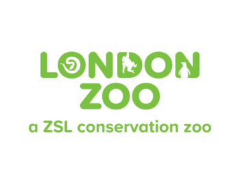 Zoo Logo Ideas: Make Your Own Zoo Logo - Looka