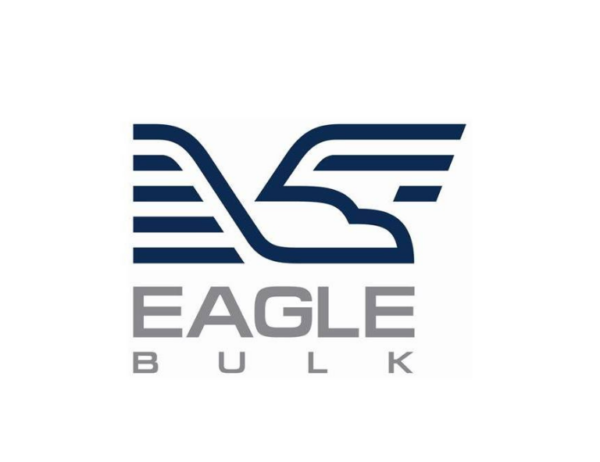 Eagle Logos - Make Your Own Eagle Logo - Looka