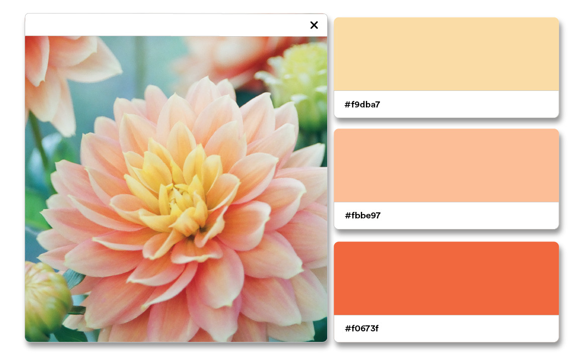 Pantone's 2024 Color of the Year: Soothed By Peach Fuzz | Looka