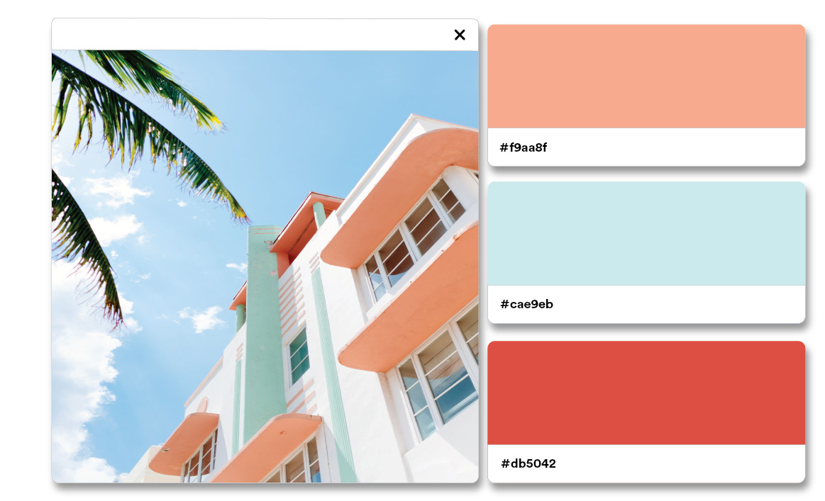 Pantone's 2024 Color of the Year: Soothed By Peach Fuzz | Looka