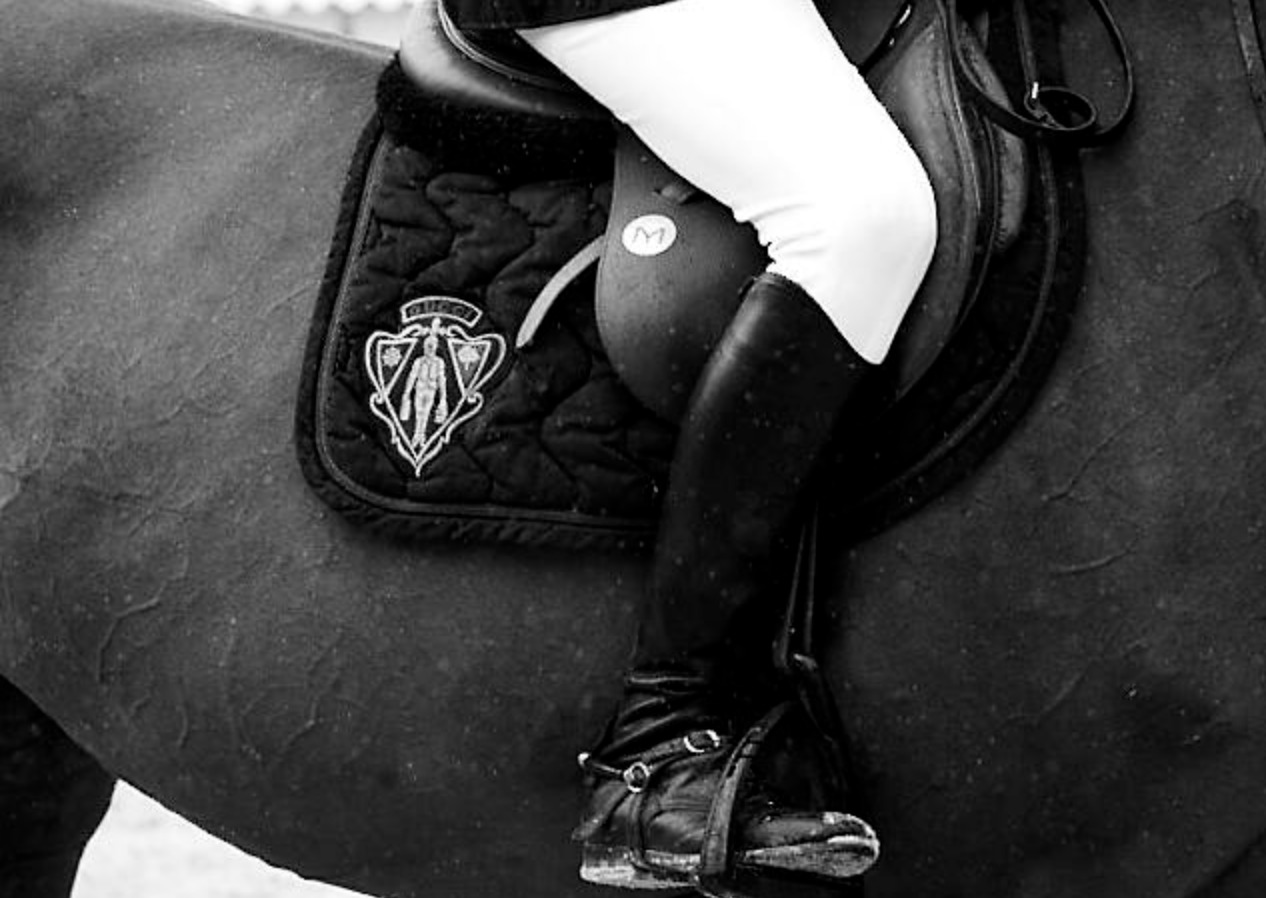 The Gucci Logo: From Equestrian Elegance to High-Fashion | Looka