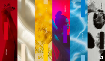 Top 6 Color Trends of 2025 + Color Inspiration | Looka